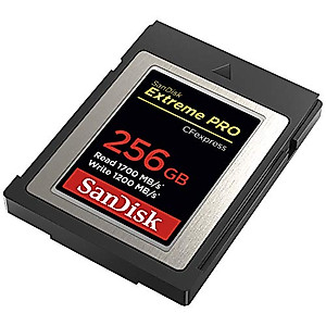 SanDisk 256GB Extreme PRO CFexpress Card Type B - SDCFE-256G-GN4NN