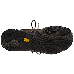 Merrell Men's Moab 2 Mid Gtx Hiking Boot, Earth, 11 M US