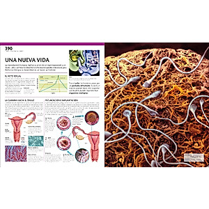 El gran libro del cuerpo humano (The Complete Human Body): Segunda edición. Ampliada y actualizada (DK Human Body Guides) (Spanish Edition)