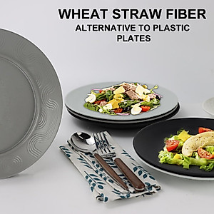 PYRMONT 9-Inch Plastic Plates Reusable Plastic Plates Camping Plates of 6 Lightweight Wheat Straw Plates Dishes Plates Set Salad Plates Dinner Plates Dishwasher & Microwave Safe, BPA Free
