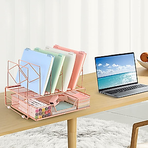 Spacrea Rose Gold Desk Organizers - File Organizer Desk Accessories with Vertical File Folder Holders & Sliding Drawer, Office Supplies for Workspace College Dorm Home(Binder Clips Included)