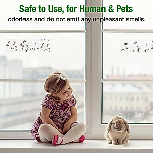 SEEKBIT 40 Pack Sticky Cockroach Traps on The Wall, Window Fly Traps for House, Clear Bug Killer Indoors, Fly Catcher Sticky Trap for Ladybugs, Gnats, Houseflies Glue Traps Keep Flying Insects Away