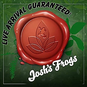 Josh's Frogs Tarantula Vivarium Bioactive Plant Kit (3x3x6 Terrarium)