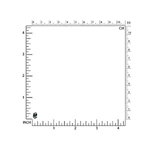 Silvershake 1.8ct. 7x5mm Oval Shape Mystic Fire Topaz 925 Sterling Silver Stud Earrings