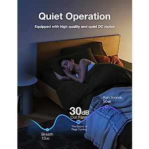 warmiplanet Flush Mount Ceiling Fans with Lights and Remote Control, 52-Inch,3 CCT Dimmable Light, Reversible Noiseless 6 Speeds DC Motor, Timer, Antique Nickel, 3-Blades