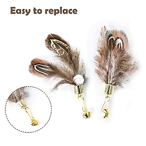 Hokoad Cat Insect Feather Toys Replacement Cat Toy Wand Refills, 6 Pieces Natural Insect Cat Toy Feathers Refill, Interactive Cat Teaser Wand Attachments, with Bell