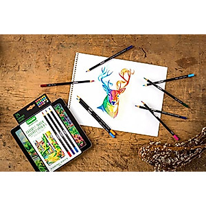 Crayola Signature Blend & Shade Soft Core Colored Pencils in Tin, Gift - 24 Count, Blend & Shade Colored Pencils