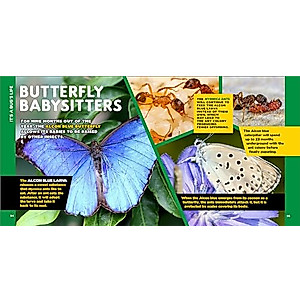 The Fascinating Bug Book for Kids: 500 Startling Facts! (Fascinating Facts)