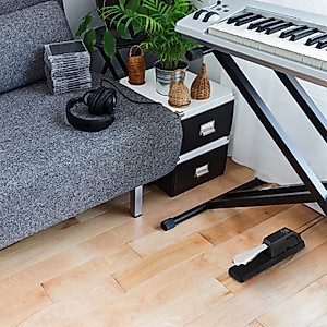 Donner DSP-003 Sustain Pedal, Universal Keyboard Piano Pedal for Digital Piano/MIDI Keyboard/Electronic Piano/Synthesizer, With Polarity Switch, 1/4"(6.35 mm) Jack, 63'' (1.6m) Cable, Straight