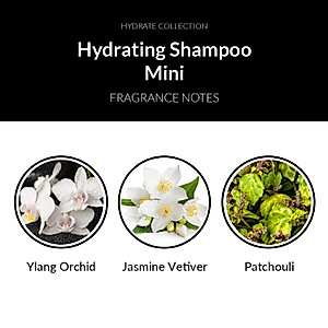 Number 4 Mini Hydrating Shampoo, Travel Size Shampoo for Women and Men. Sulfate, Gluten, & Paraben Free. Moisturizing & Color Protecting, 1.5 oz