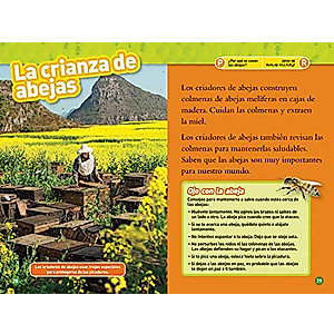 National Geographic Readers: Las Abejas (L2) (Spanish Edition)