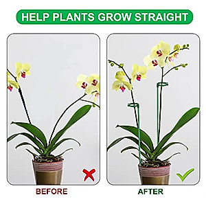 30 Pack Plant Stakes 12 Inch, Adjustable Length Plant Support Stakes for 3 Sizes (12, 24 or 36 Inches), Green Plant Sticks Fiberglass Single Stemmed Flower Support for Potted Indoor Plants