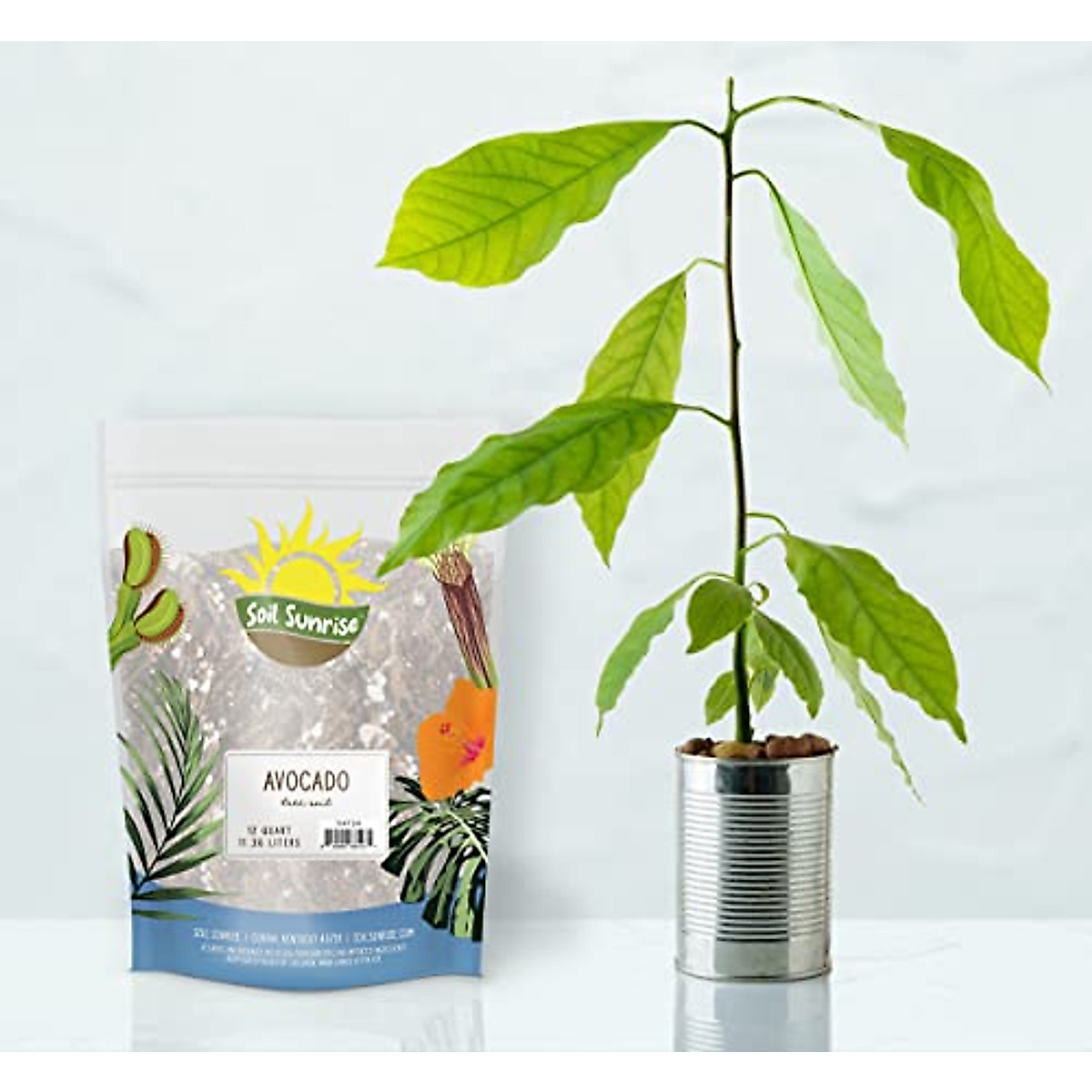 Avocado Tree Potting Soil Mix (12 Quarts), for Germinating, Growing and Repotting Avocado Plants