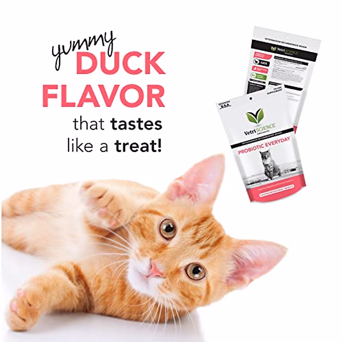VetriScience Probiotic Everyday for Cats, Digestive Support Supplement, Duck Flavor, 60 Bite Sized Chews - Probiotics and Prebiotics, GI and Immune Support