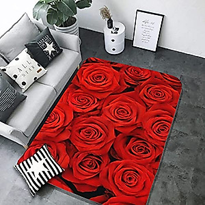 Floral Rug Red Rose Printed Large Area Rugs,Lightweight Water-Repellent Floor Carpet for Living Room Bedroom Home Deck Patio,40"x60"
