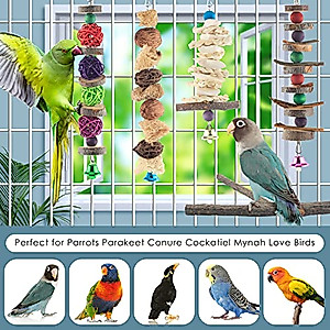 Bissap Bird Chew Toys, 5 Packs Parakeet Natural Wood Toys Parrot Hanging Cage Toy Bird Perch Stand for Small Bird Conure Cockatiel Parrotlet Lovebird Budgie