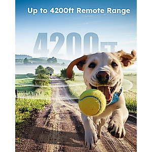 Jugbow Dog Shock Collar - 4200FT Dog Training Collar with Remote, IPX7 Waterproof Electric Collar with 4 Training Modes, Security Lock, Rechargeable e-Collar for All Breeds, Sizes