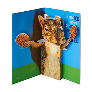 American Greetings Funny Birthday Card (Squirrel)