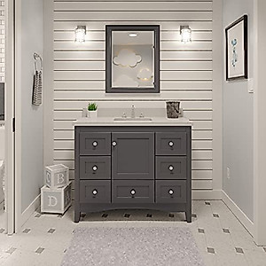 Abbey 42-inch Bathroom Vanity (Quartz/Marine Gray): Includes Marine Gray Cabinet with Stunning Quartz Countertop and White Ceramic Sink