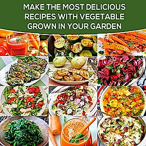 20 Heirloom Vegetable Seeds for Planting - 100% Non GMO - Most Popular Garden Vegetable Seeds Variety Pack - Cucumber, Carrot, Broccoli, Radish, Kale, Zucchini, Cabbage, Beet, Arugula, Celery and More