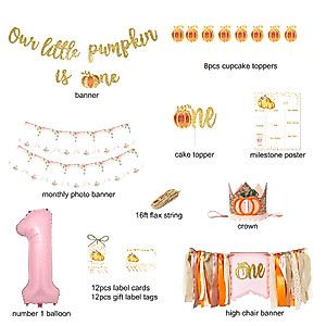 Little Pumpkin 1st Birthday Decorations, Pumpkin First Birthday Decorations Supplies for Autumn Fall 1st Birthday Party, Halloween Thanksgiving 1st Birthday, Our Little Pumpkin is Turning One