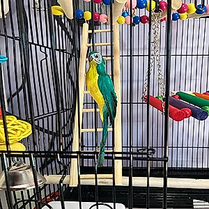 2pcs Birdie Basics Wooden Ladder for Bird Cage Climbing Ladder Toy for Parakeets Parrots Cockatoo (7 Step & 8 Step)