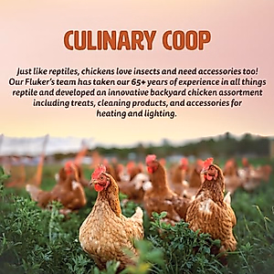 Fluker's Culinary Coop Organic Cleaner with Brush for Chicken Coops, Specially Formulated with Deodorizer and Odor Eliminator, 16 oz