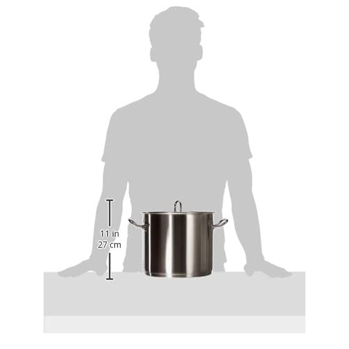 Fissler Original-Profi Collection 2019 Stainless Steel Tall Stock Pot, 9.6 Quart