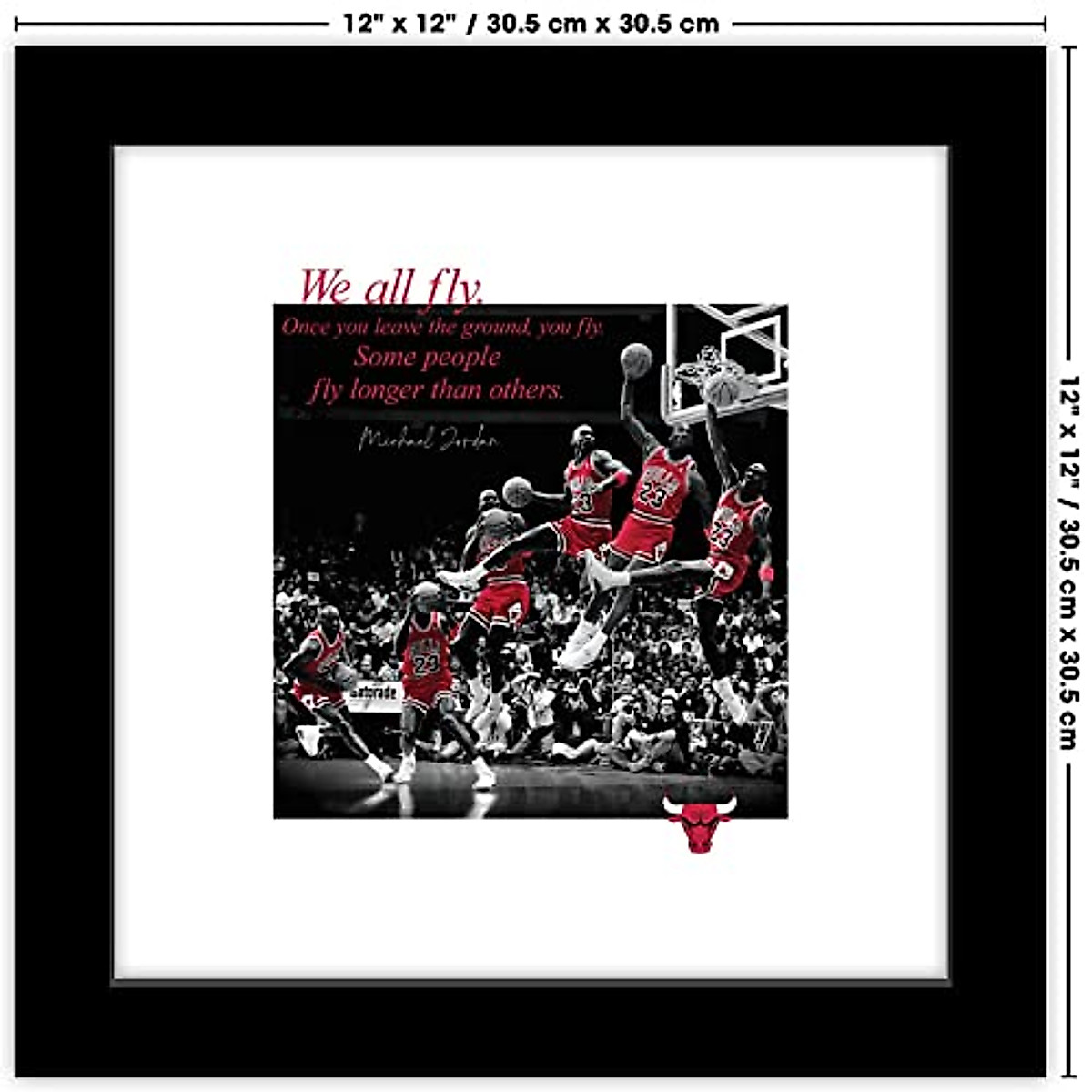 Trends International Gallery Pops Michael Jordan - Quote We All Fly Wall Art Wall Poster, 12" x 12", Black Frame Version