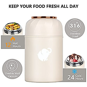 NewFation Thermos For Hot Food - 17OZ Insulated Food Container With Foldable Fork& Spoon, Leak Proof Soup Thermos For Adults, Food Thermos Portable With Handle For Office Outdoors(White)