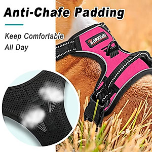 BARKBAY No Pull Pet Harness Dog Harness Adjustable Outdoor Pet Vest 3M Reflective Oxford Material Vest for PINK Dogs Easy Control for Small Medium Large Dogs (L)