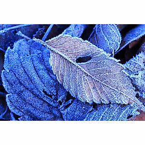 TAMRON 90 mm F2.8 VC USD Lens for Canon DSLR Camera, F017E