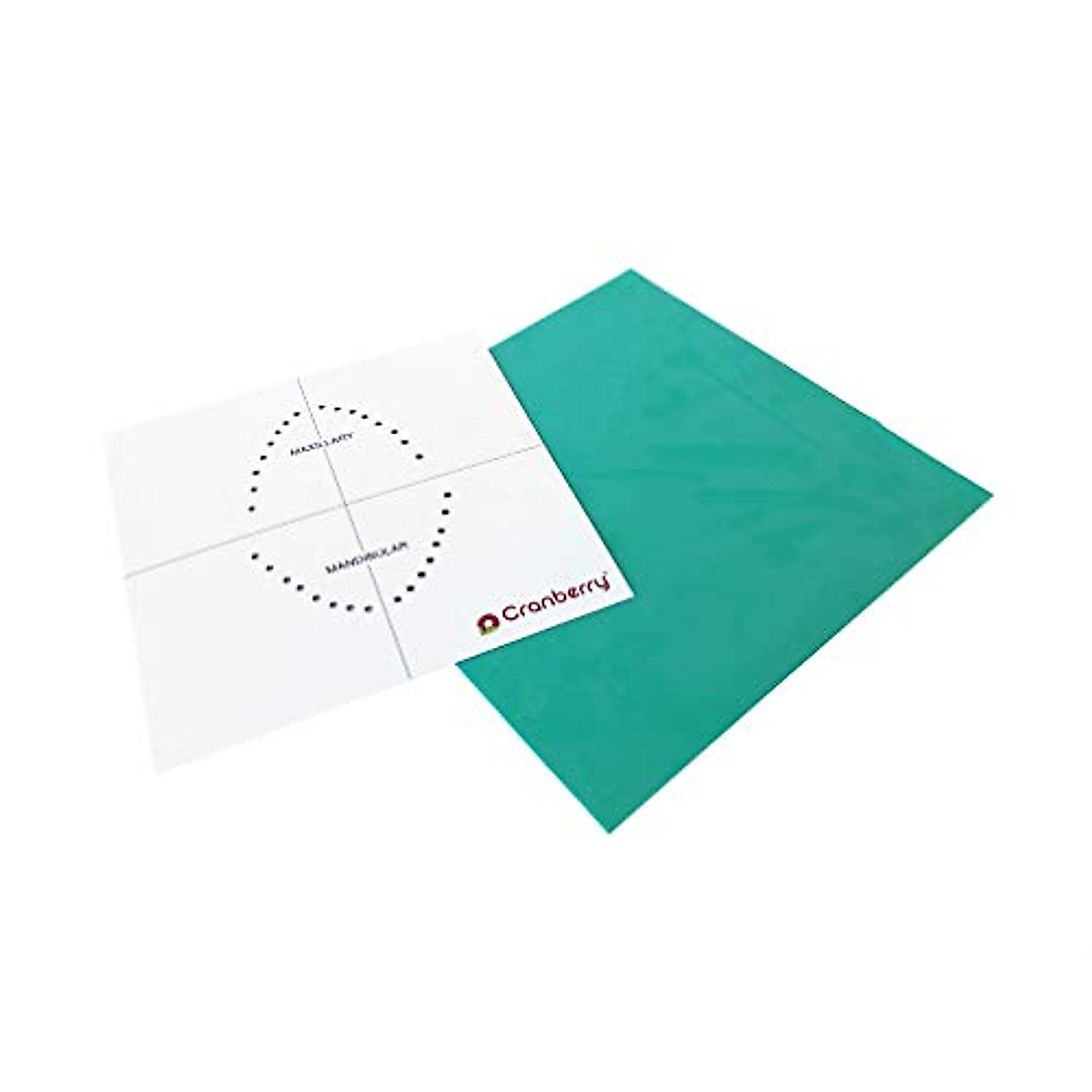 Cranberry Smart Dam Latex Spearmint Scented 5x5, Green