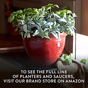 The HC Companies 9 Inch Pizzazz Decorative Round Planter - Lightweight Premium Resin Plant Pot with a Ceramic Look for Indoor Outdoor Use, Admiral Blue