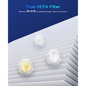 Genuine MSB5 Air Purifier Filter Replacement, 3-in-1 High-Efficiency H13 True Hepa Air Filter Replacement for Smoke Pollen Dander Hair Smell-Standard Version (1 Pack)