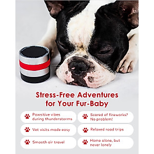 RelaxoPet Pro Dog Relaxation System - Calming for Dogs Relaxation Device with Noise Motion, LED Indicator, Pro Timer - Portable Sound Machine for Dogs for Thunderstorms, Fireworks, & Travelling