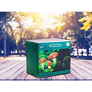 Tree Poetry Mushroom for Garden, Glow in The Dark Fairy Garden Decor Accessories, Micro Landscape, Mushroom Statue