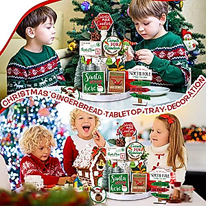 13 Pieces Winter Tiered Tray Decor Winter Table Farmhouse Centerpieces Decoration Elk Sled Tree Snowflake Wood Blocks Signs for Home Room Decor(Christmas Style)