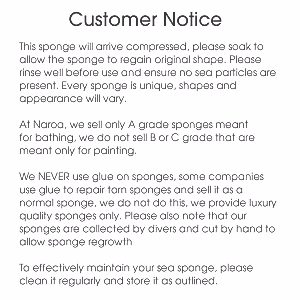 Naroa Massage Natural Shower Sponge | Unbleached Body Scrubber Puff | Bath Sponge for Healthy Skin | Eco Friendly Sustainable Sea Sponge (Massage - X Large)