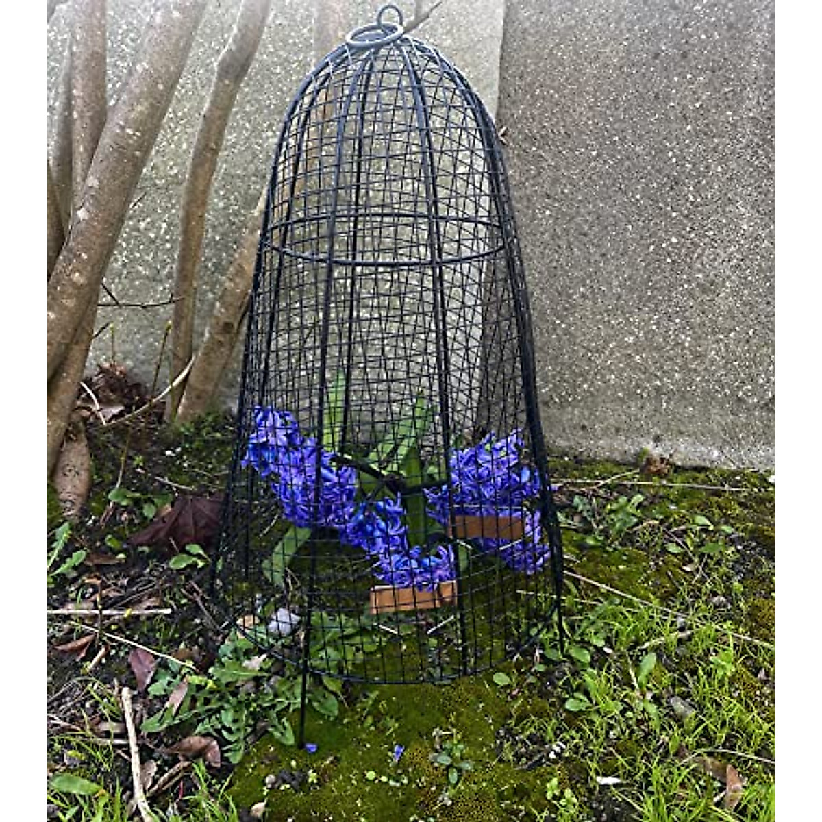 RUAFOX 6 Pack Metal Garden Cloches - 20" High Plant Cover - Weather Resistant Wire Plant Dome - Rustic Farmhouse Chic Decor - with 12 Copper Labels