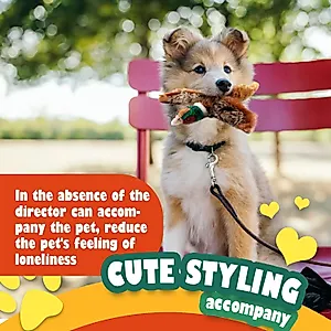 ALL FOR PAWS Classic Dog Pheasant Toys, Squeaky Dog Toys Stuffed Animal Dog Hunting Plush Toy, Large