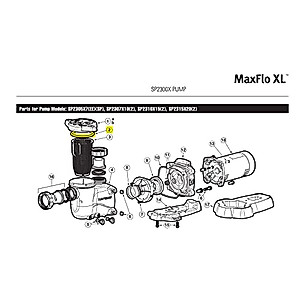Beaver Island Parts Co. fits Hayward SPX2300Z4 Max Flo XL Strainer Cover O-Ring