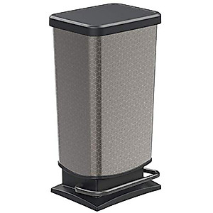 Rotho Paso Rubbish Bin Odour-Proof Plastic (PP) in Stainless Steel Look Pedal Mechanism for Opening the Waste Bin, Hexagon, 40 litres