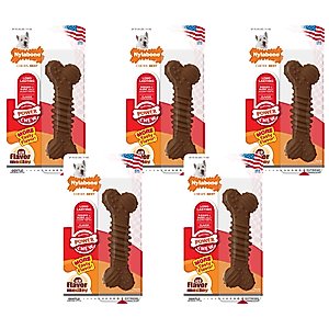 Nylabone 5 Pack of Power Textured Bone Dog Toys, Regular, Flavor Medley Infused Chew Toy