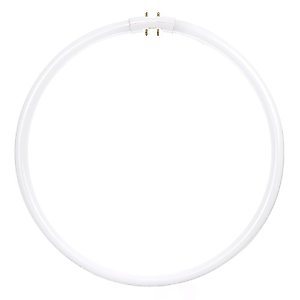 Sunlite FC40T5/SP835 Fluorescent 40W T5 Circline Ceiling Lights, 3500K Neutral White Light, 2GX13 (40 watts)