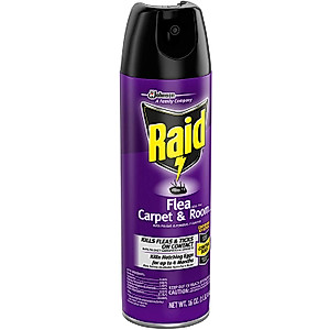 Raid Flea Killer Carpet and Room Spray (16 Ounce (Pack of 6))