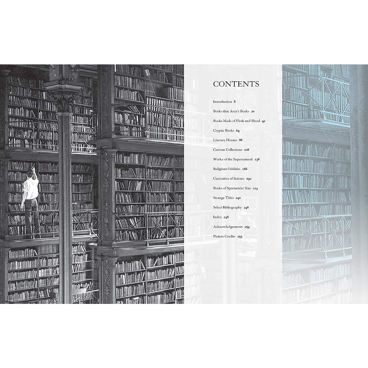 The Madman's Library: The Strangest Books, Manuscripts and Other Literary Curiosities from History