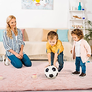 LFHHT Soft Fluffy Area Rugs for Bedroom Living Room, 4x6 Feet Indoor Plush Shaggy Fuzzy Carpet Shag Rug for Kids Boys Girls Baby Nursery Dorm Room Home Decor, Pink