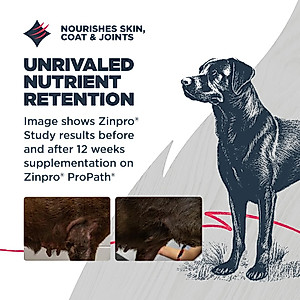 Blackwood Grain Free Dry Dog Food, Salmon & Field Pea Recipe, 4.5 Pound Bag for All Life Stages, Slow Cooked with Vitamins & Minerals for a Balanced Diet