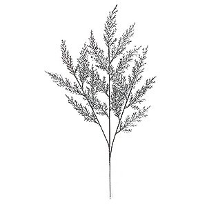 22" Silver Glitter Cedar Spray - Pack of 48 - Sparkling Decorative Foliage for Crafts and Events